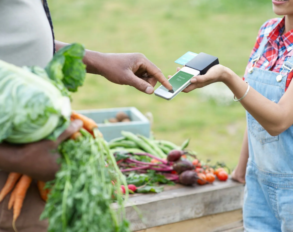 Transforming rural economies with digital banking - Datavision Software ...